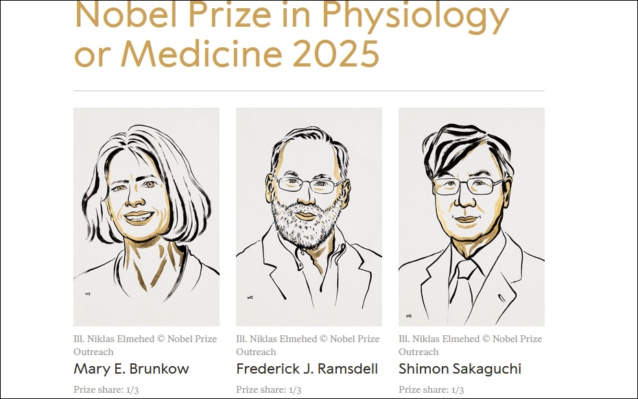 Nobel Prize in Medicine 2025 honors discovery on immune system