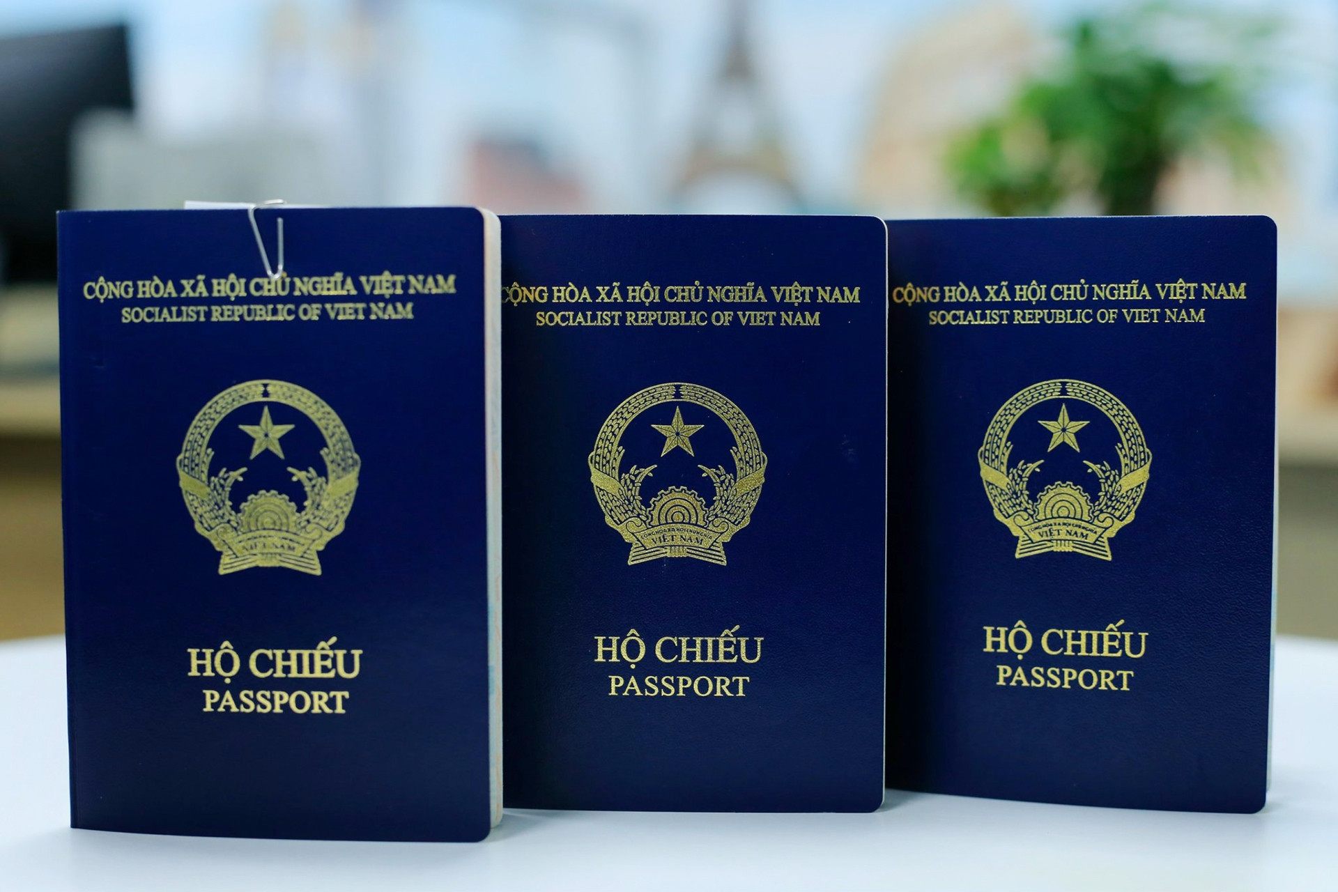 Pasaporte de Vietnam escala cinco peldaños en el ranking mundial